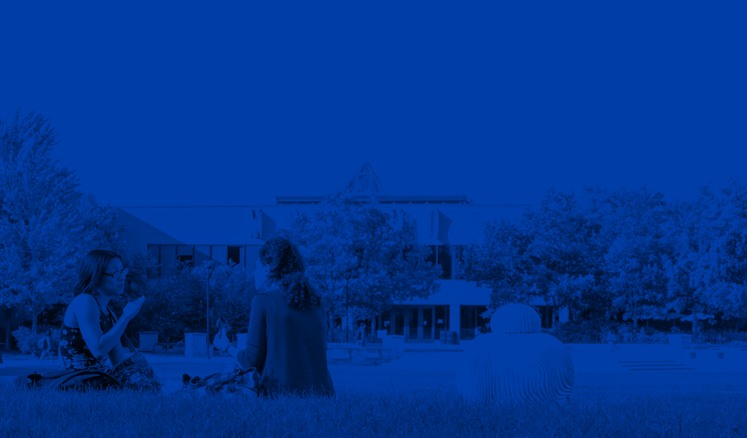 Northeastern Illinois University | CustomViewbook Wizard